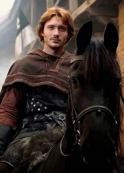 Reynard Reyne | AWOIAF Curse of Maegor Wiki | Fandom