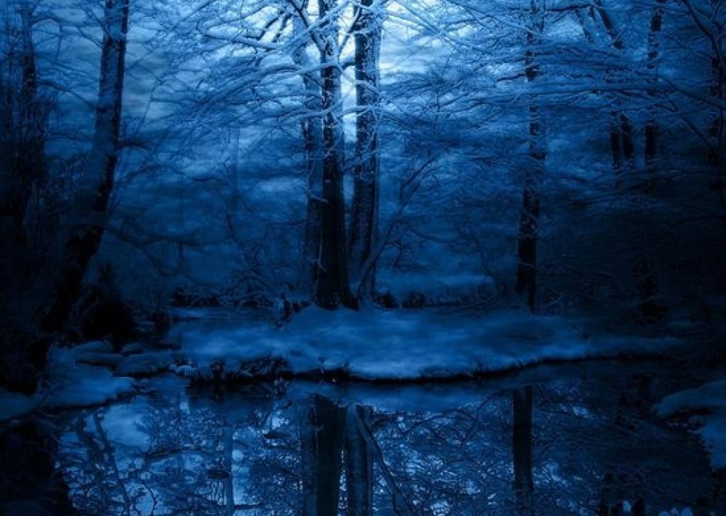 Blue Winter | AWOIAF RP Wiki | Fandom