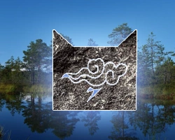 StormClan | AWRP2 Wiki | Fandom