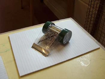 Entrant | Antweight World Series Wiki | Fandom