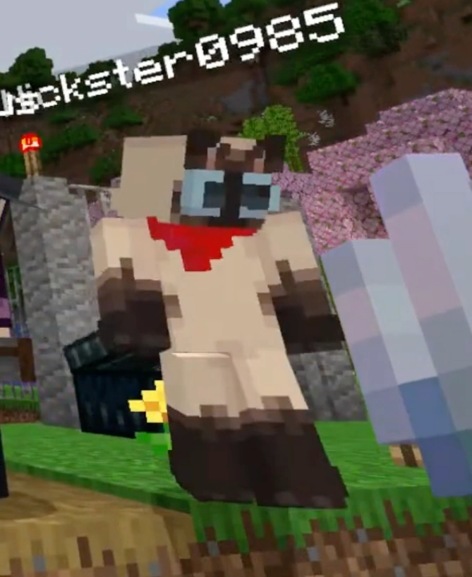 Salt | Axo SMP Wiki | Fandom