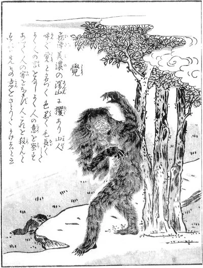 Satori/Origen | Wiki Ayakashi: Ghost Guild | Fandom