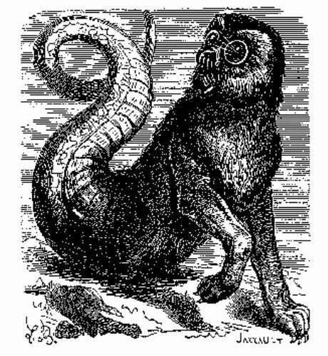 Amaymon/Origin | Ayakashi: Ghost Guild (Onmyouroku) Wiki | Fandom