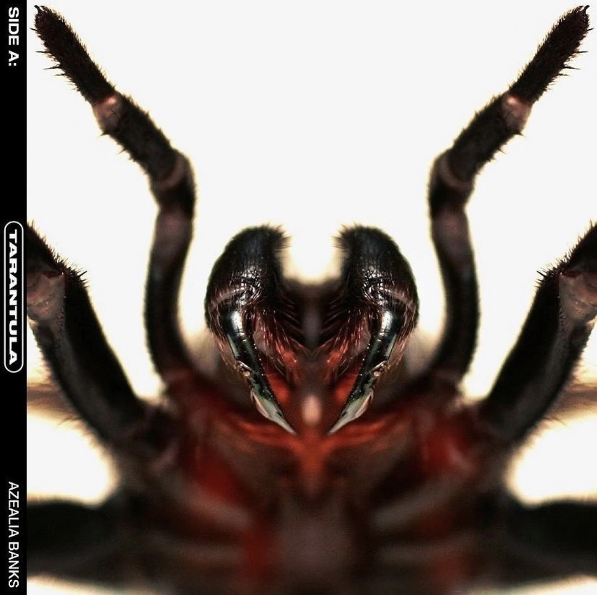 Tarantula (song) | Azealia Banks Wiki | Fandom