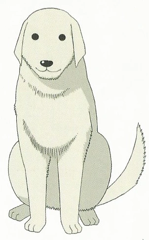 Mr. Tadakichi | Azumanga Daioh Fanon Wiki | Fandom