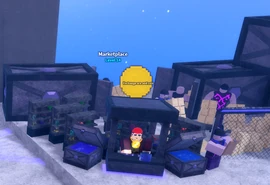 Marketplace | Azure Mines Wikia | Fandom