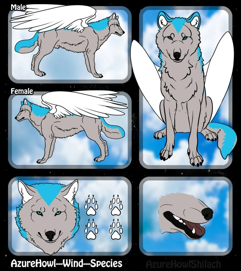 Wind wolf species | AzureHowlShilach Wiki | Fandom