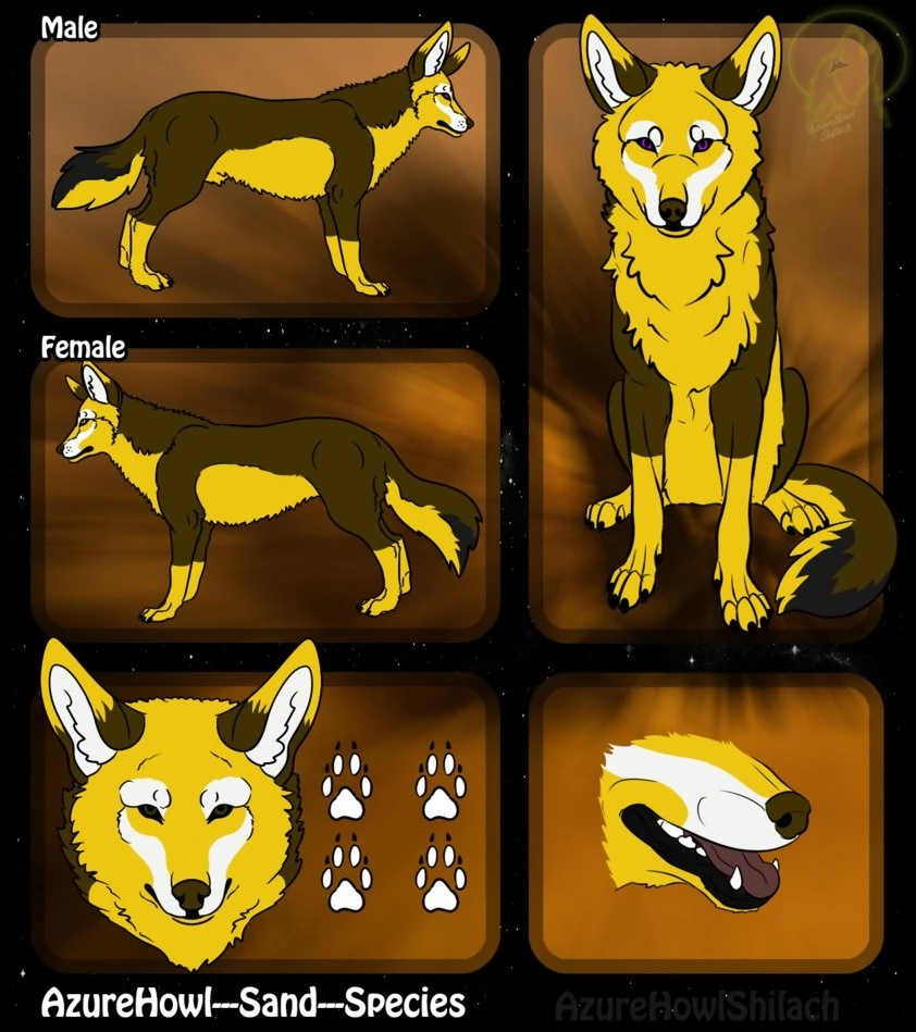 Sand wolf species | AzureHowlShilach Wiki | Fandom