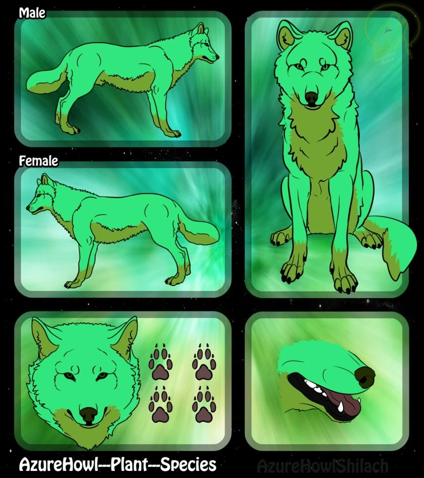 Plant wolf species | AzureHowlShilach Wiki | Fandom