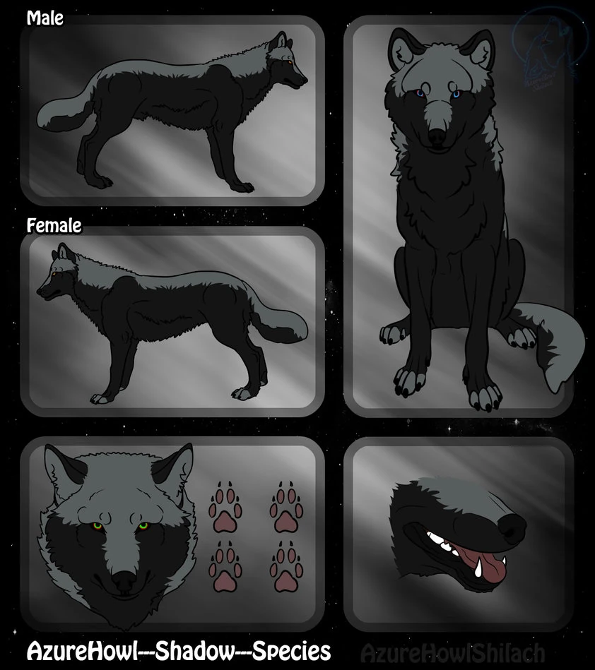 Shadow wolf species | AzureHowlShilach Wiki | Fandom