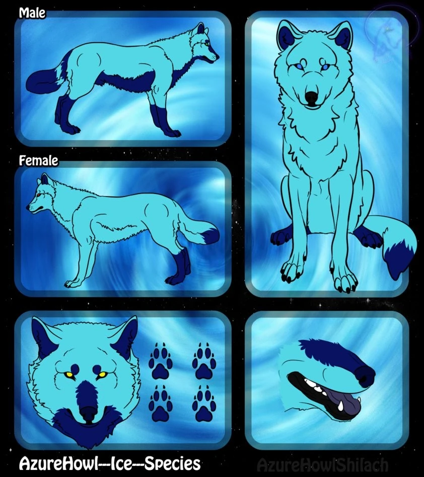 Ice wolf species | AzureHowlShilach Wiki | Fandom