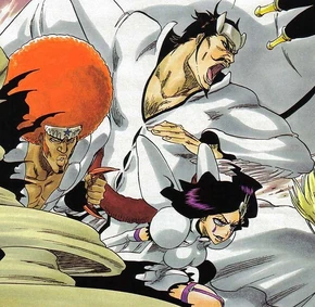 Espada | Bleach: Ultimate Alien Wiki | Fandom