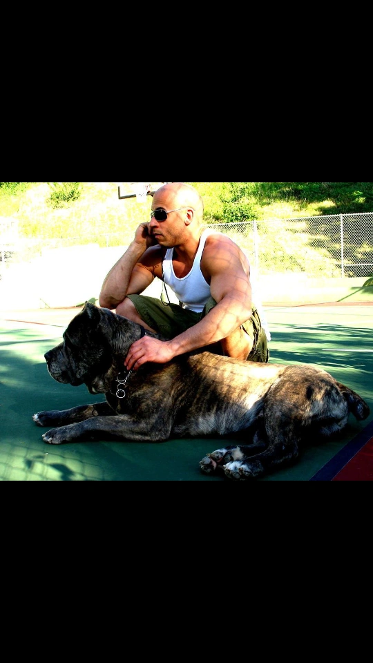 Vin Diesel | Fandom