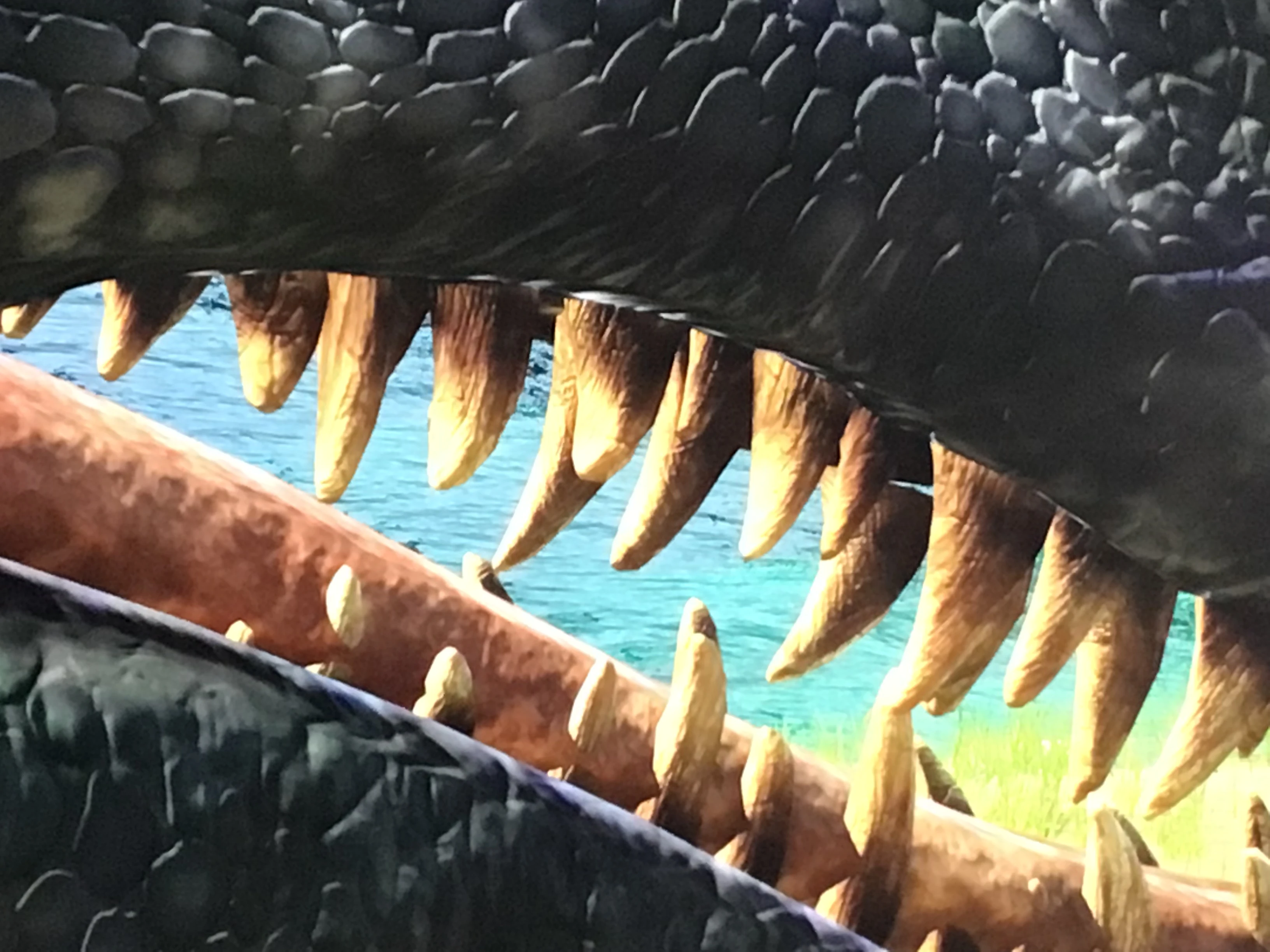 The Seas in the Jaws | Fandom