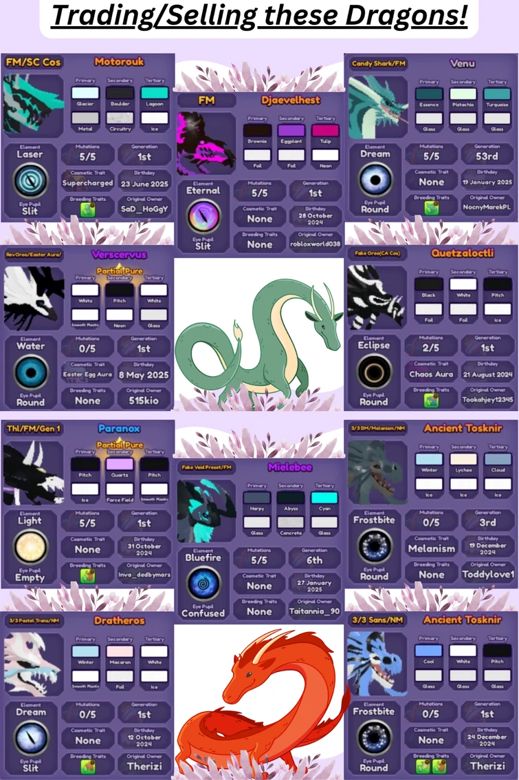 T/S these Dragons below! •~• | Fandom