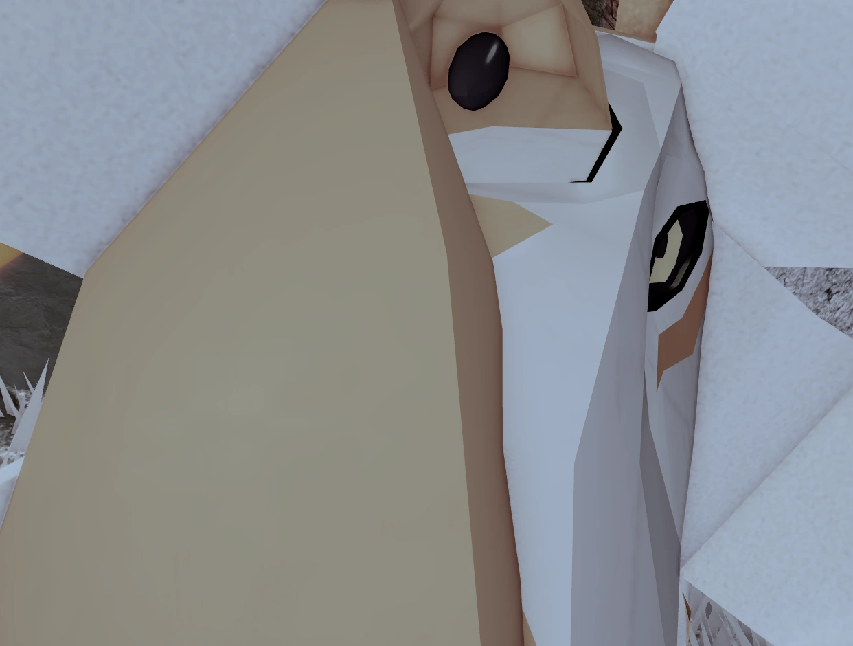 aereis is the cutest creature in cos | Fandom
