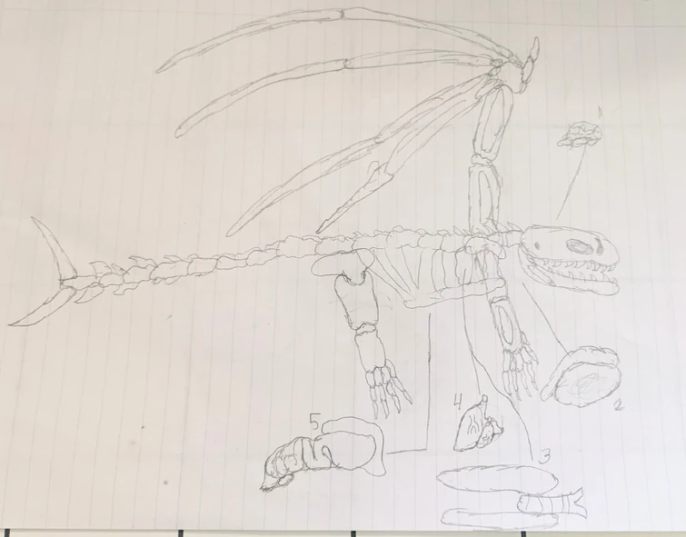 Discuss Everything About ROBLOX Malgamation Island Wiki | Fandom