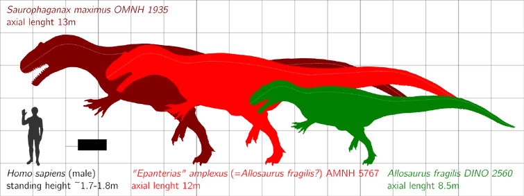 Que opinas del caso de Allosaurus, Saurophaganax y Epanterias | Fandom