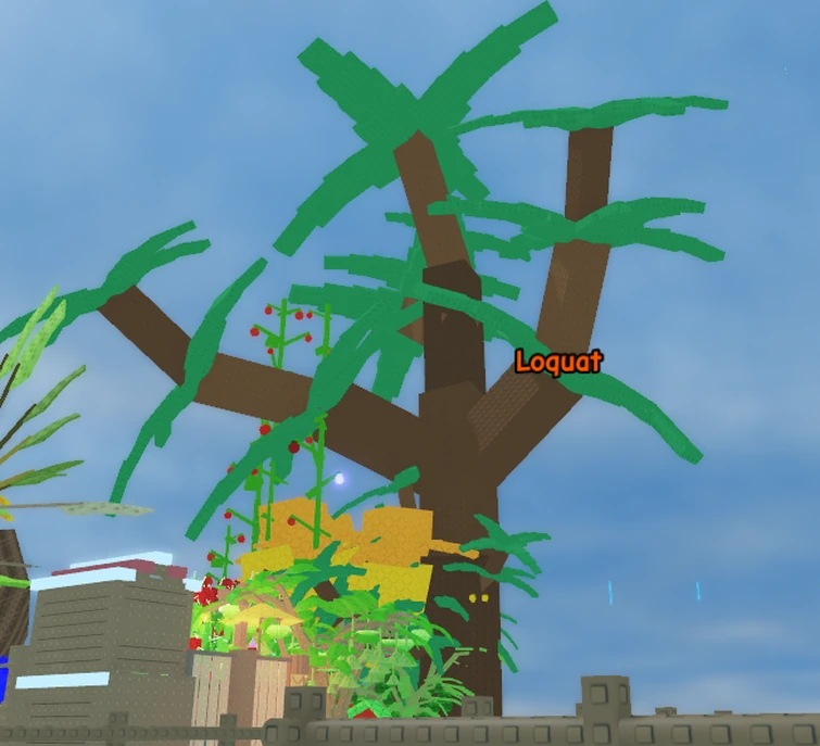 Biggest Loquat? | Fandom