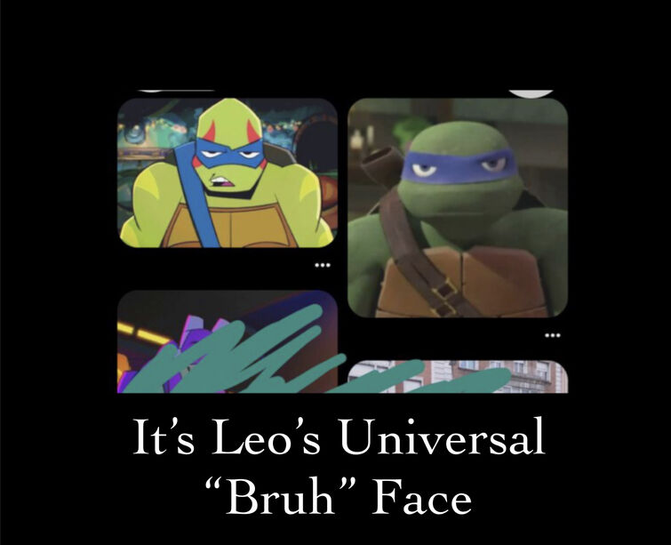 TMNT Meme Of The Day | Fandom