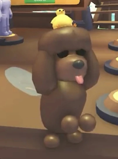 New pets coming to Adopt Me: • | Fandom