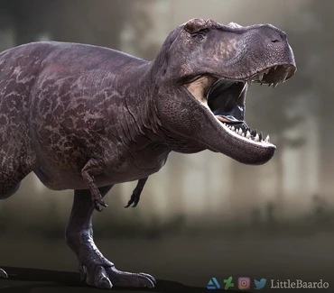 Who wins (real life versions) | Fandom