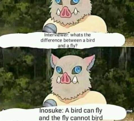 Put memes so i can laugh | Fandom