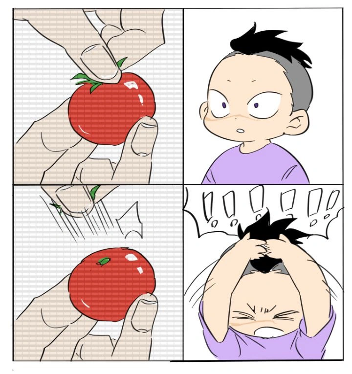 Tomato | Fandom