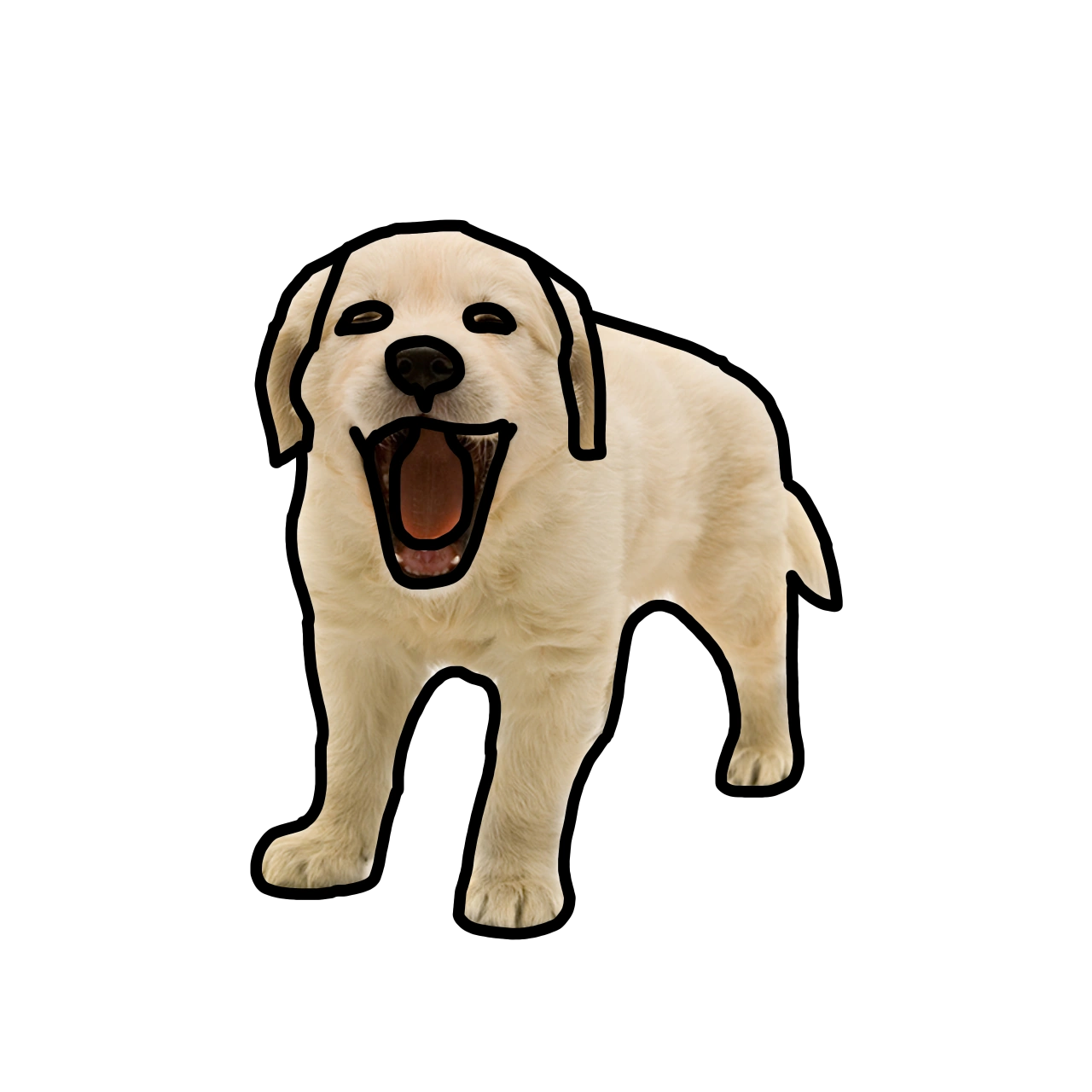 New oK!!!!~~~!! | Fandom