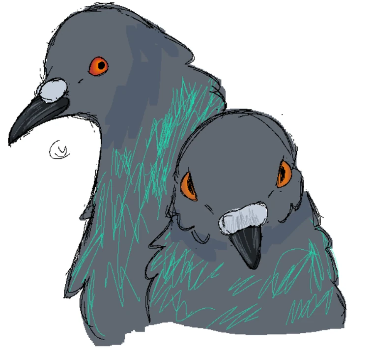 Bird of the Day! Day 3 - Pigeon | Fandom
