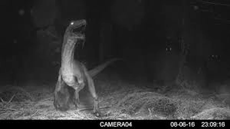 Dinosaur Sightings!! | Fandom