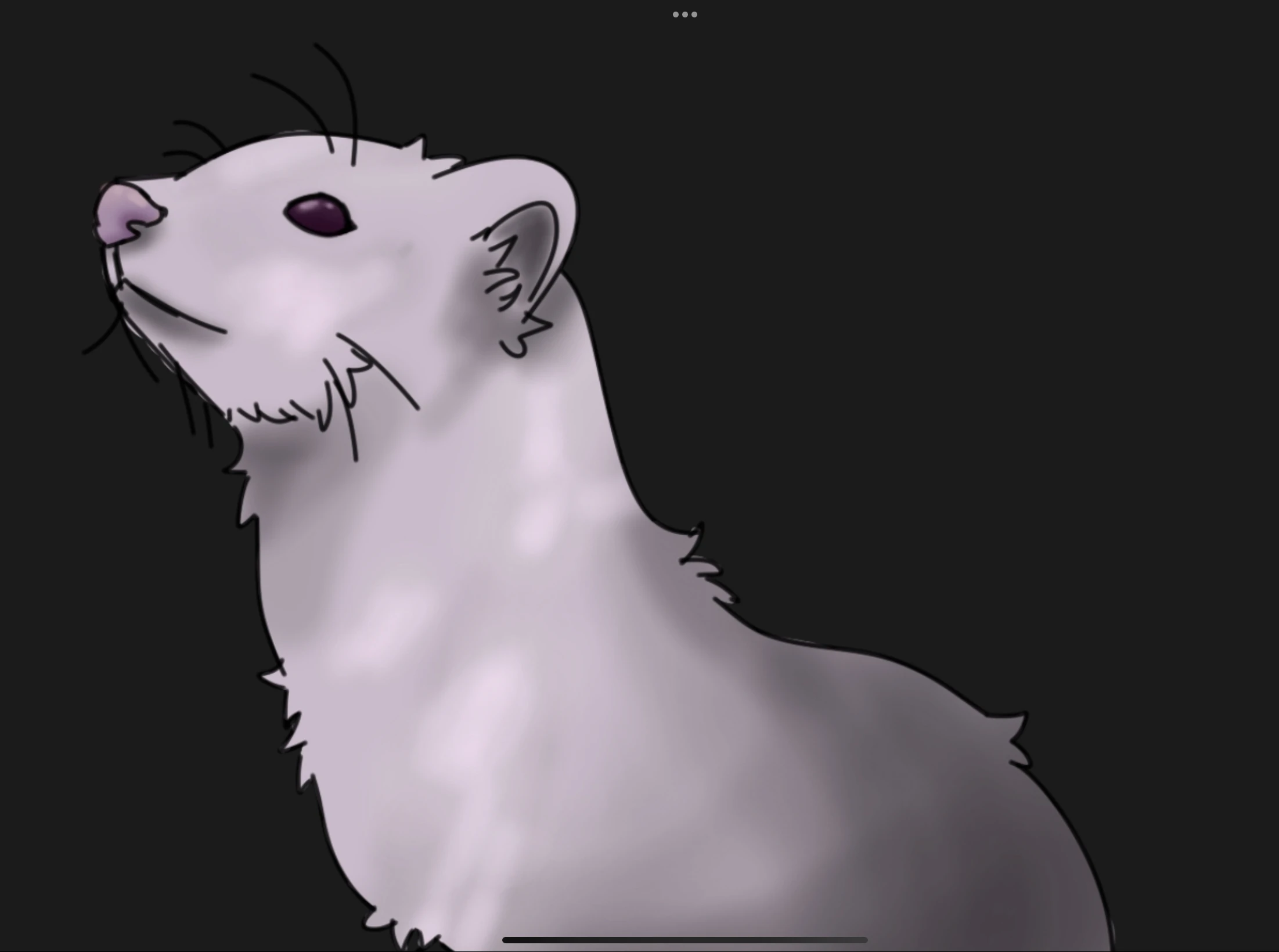 Ferrets are awesome | Fandom