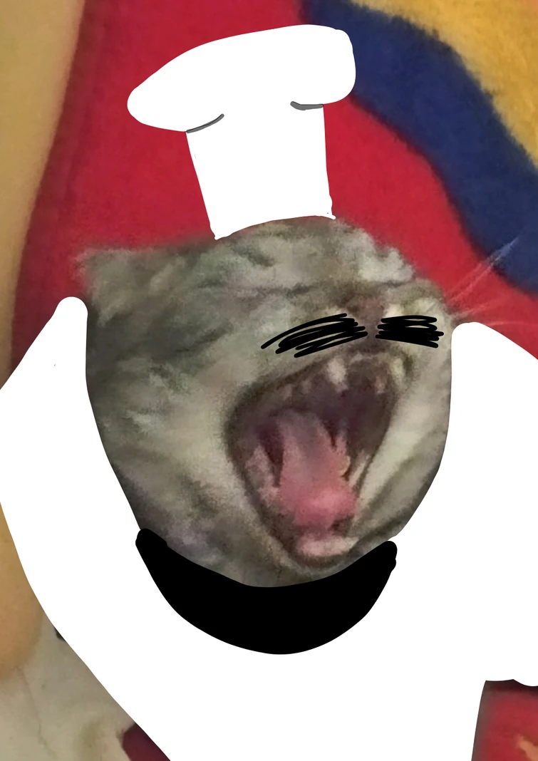 Cat peppino | Fandom