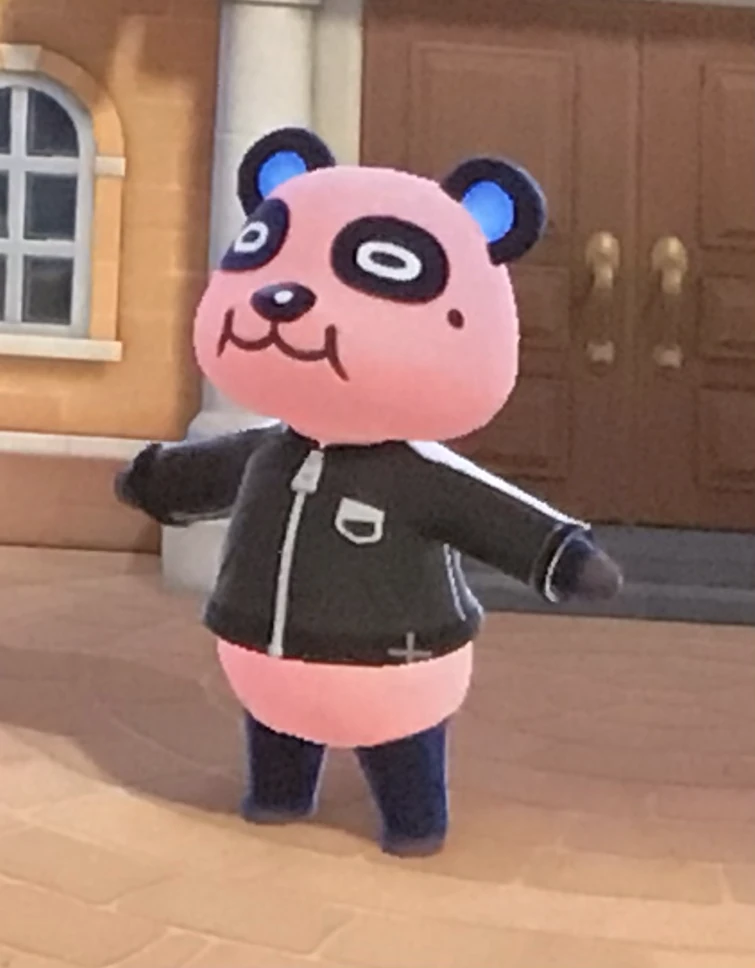 Discuss Everything About Animal Crossing Wiki | Fandom