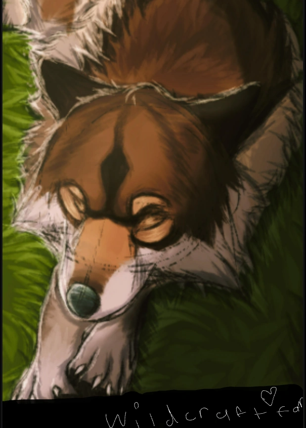 Wildcraft wolf | Fandom