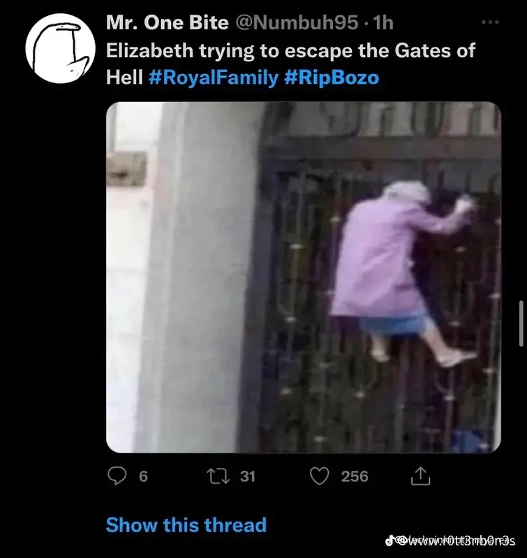 Rip bozo 🤣🤣🤣🤣👎👎👎💯 | Fandom