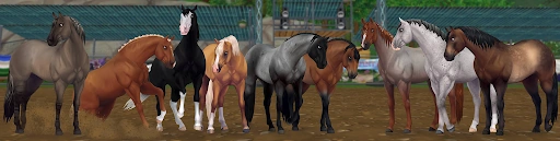 -American Quarter Horse Tag- | Fandom