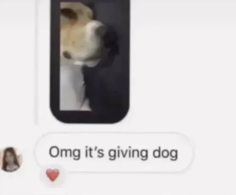 omg its giving dog | Fandom