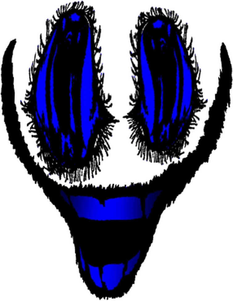 an introvert ate my canvas | Fandom