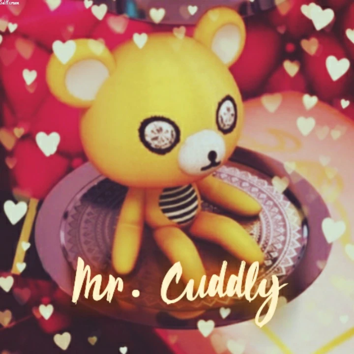 Mr. Cuddly | Fandom