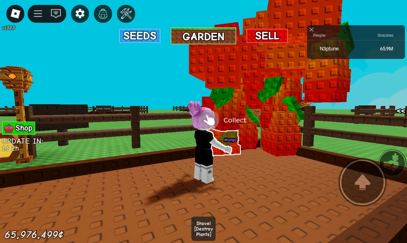 small mango tree | Fandom