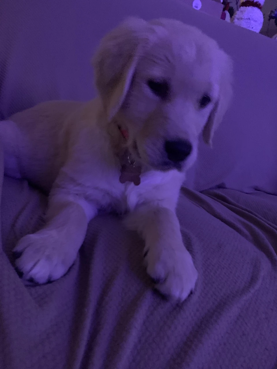 No thoughts | Fandom