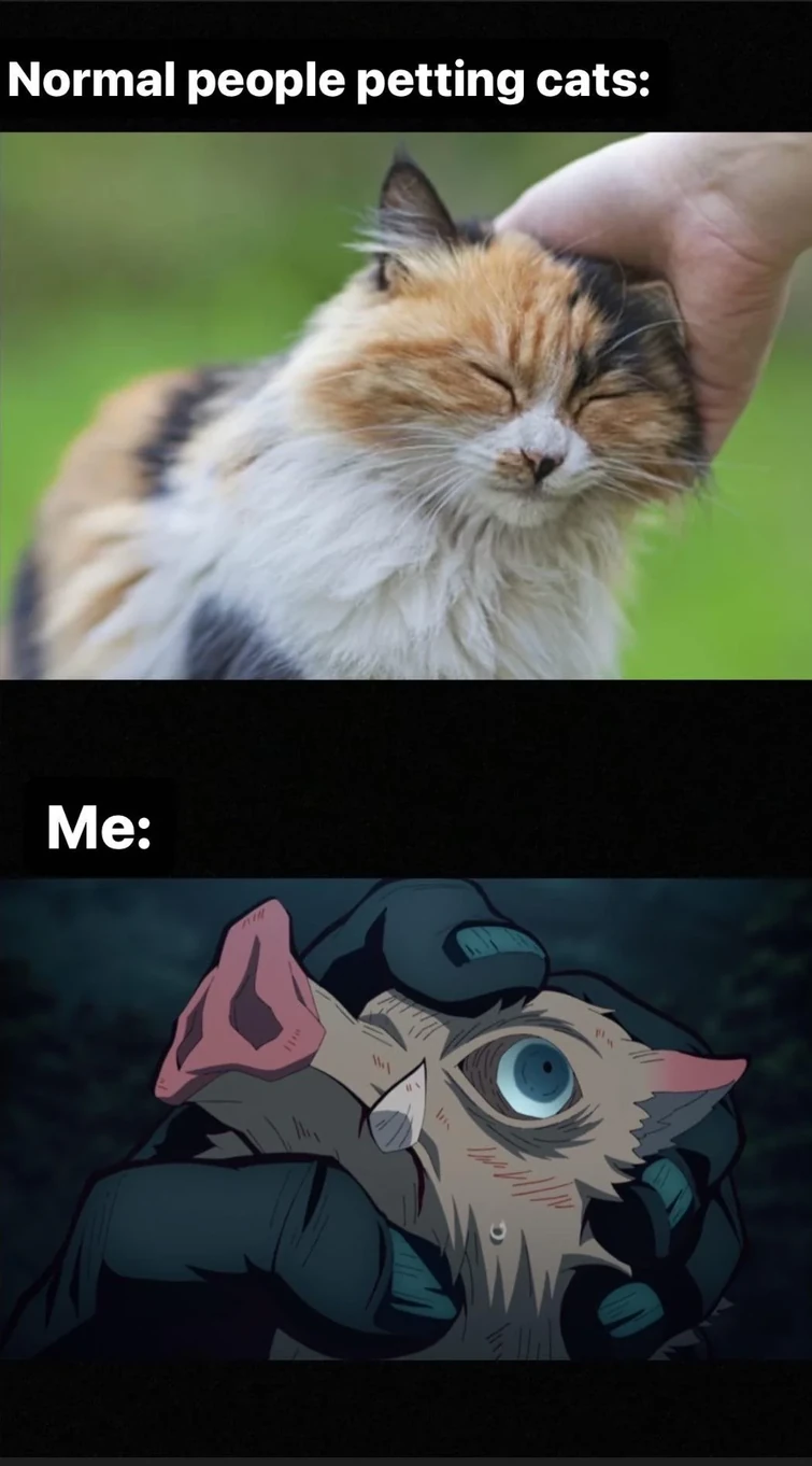 Demon Slayer meme | Fandom