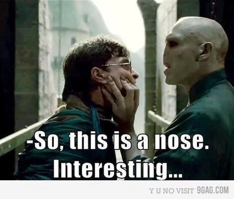 Dumb Voldemort nose memes 😂 (I have too much time on my hands) | Fandom