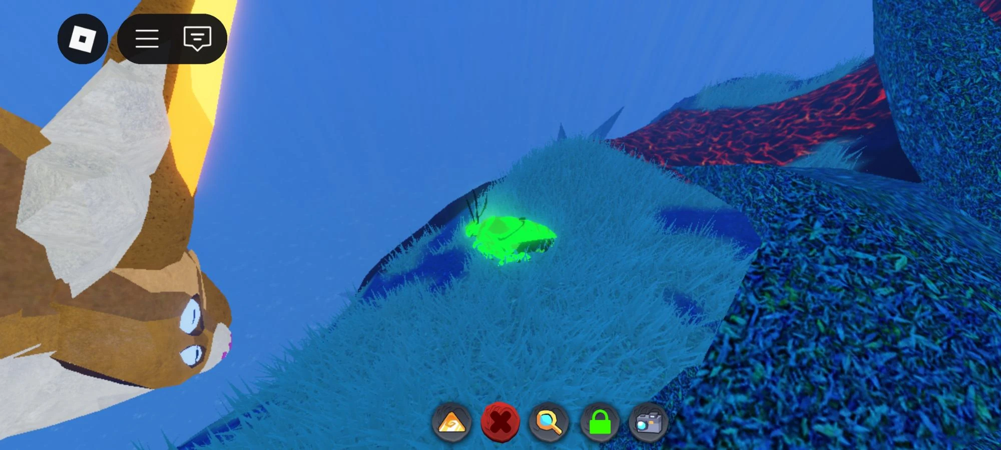 Cat sees glowy bug | Fandom