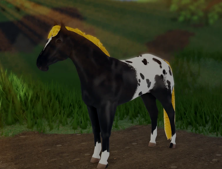 `- Please Welcome...! -` | Fandom