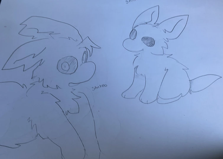 Shinto and Shitno drawings I did at school today!! | Fandom