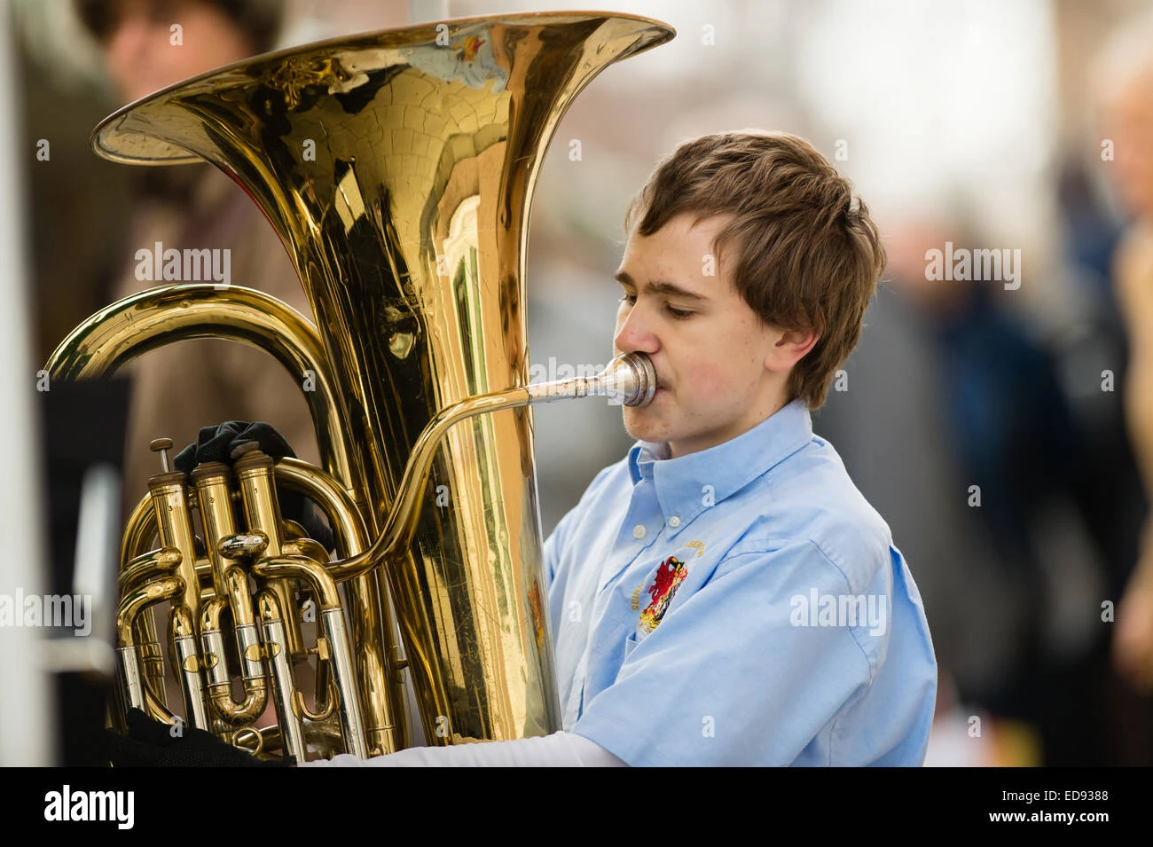 Shameless plug | Fandom