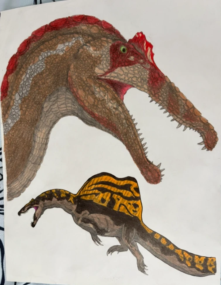 (Accurate) Spinosaurus Drawing | Fandom