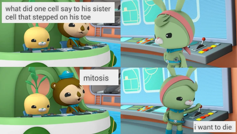 Discuss Everything About Octonauts Wiki | Fandom